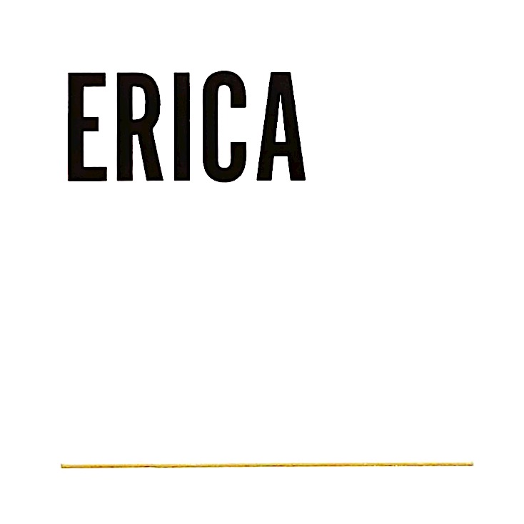 ERICA LIVE – artist